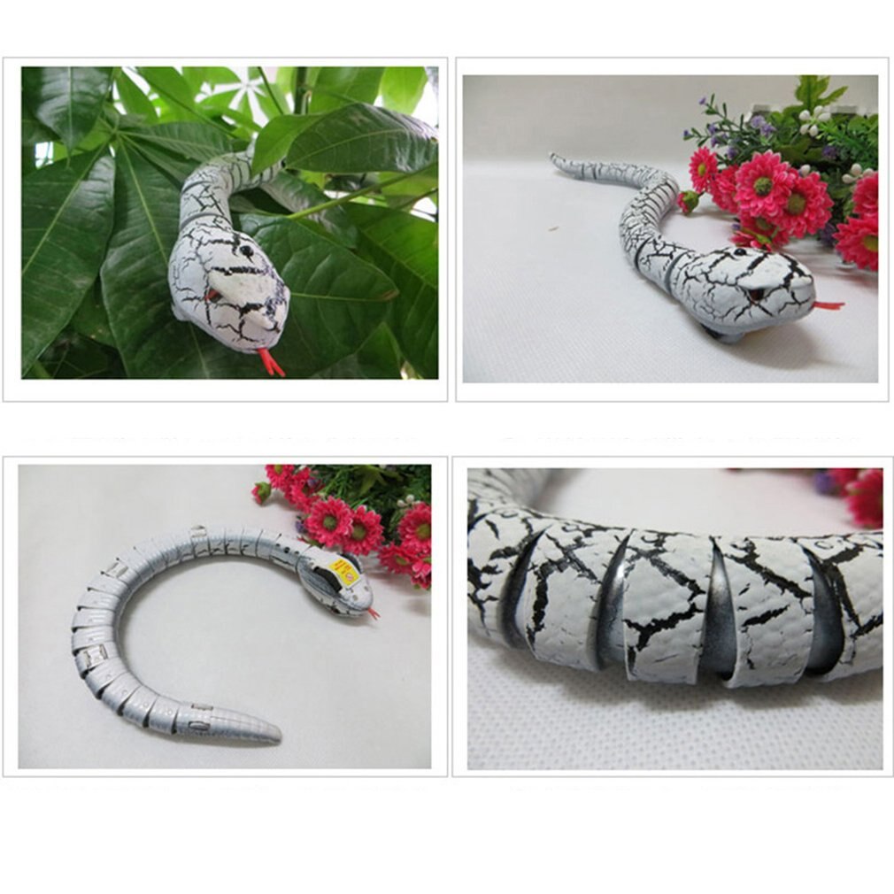 RC Animal Toys Kids Remote Control Snake Rattlesna... – Grandado