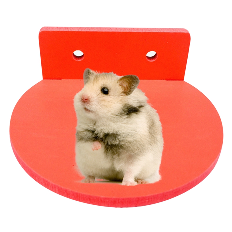 Hamster Platform Small Animals Perches Removable B... – Grandado