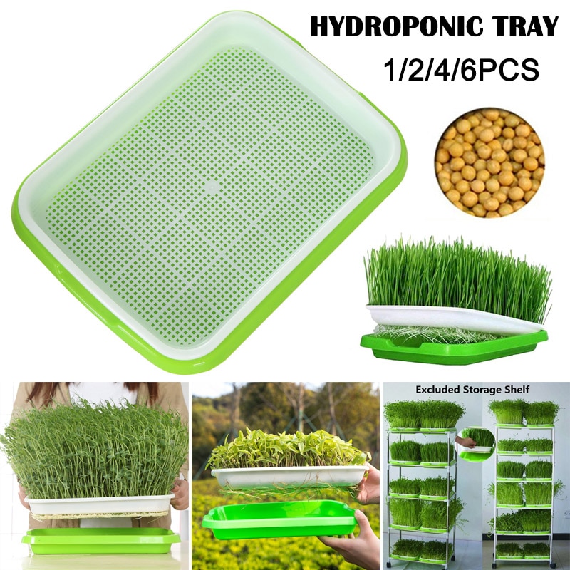 Newly Seed Sprouter Tray Plant Germination Trays D... – Vicedeal