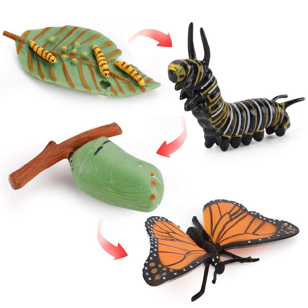 Animal Real Growth Cycle Model Toy Independent Par... – Vicedeal