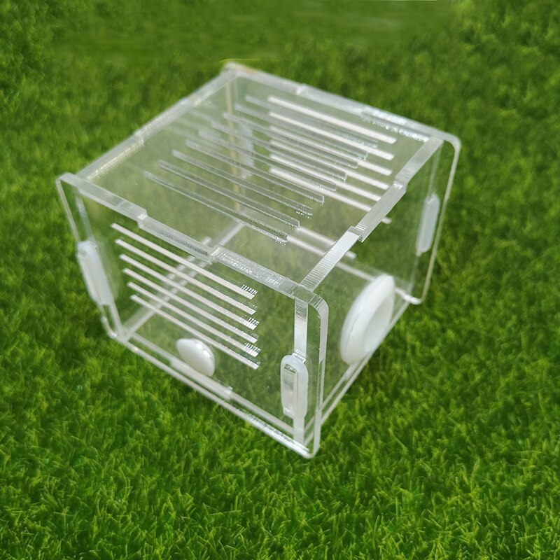 Acrylic Ant Nest Square Ant Farm Activity Area Cli... – Vicedeal