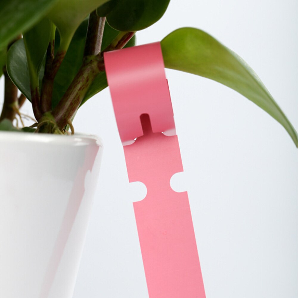 100pcs/Set Waterproof Plastic Plant Hanging Tags G... – Grandado