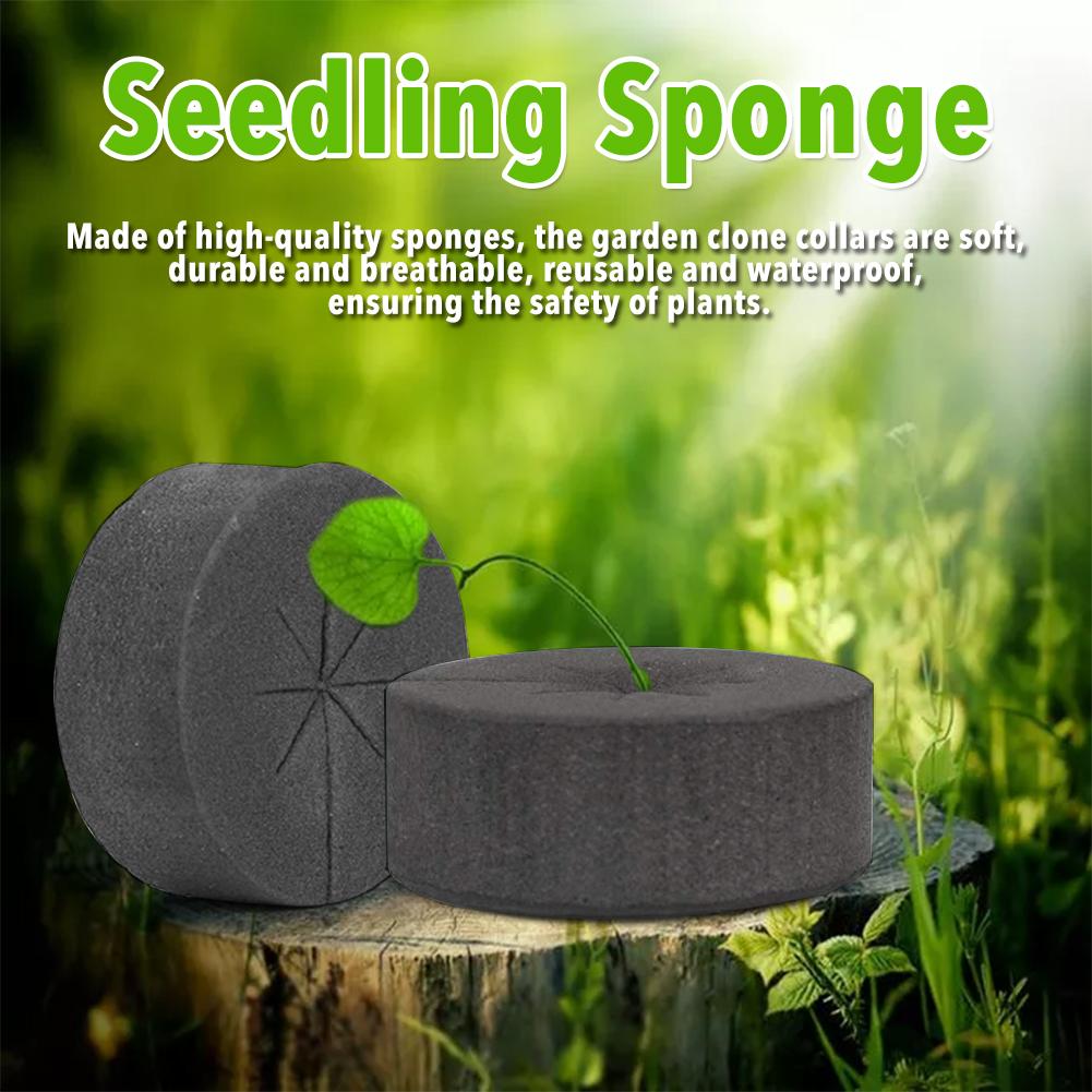 48*20mm Garden Clone Collars Neoprene Inserts Spon... – Grandado