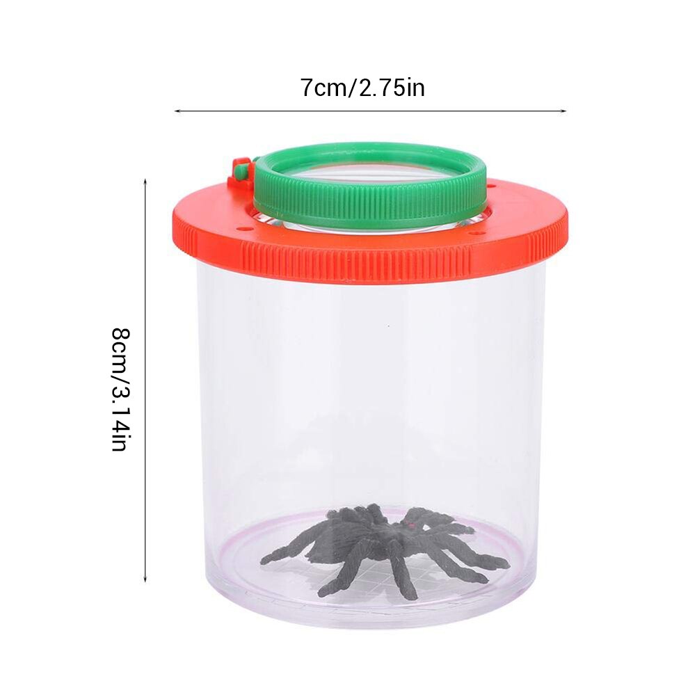 Children'S Educational Toys Portable Bug Box M... – Grandado