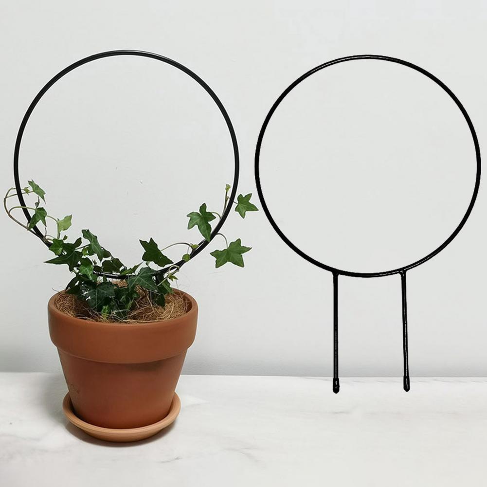 Garden Trellis Round Shaped Sturdy Iron Vines Indo... – Vicedeal