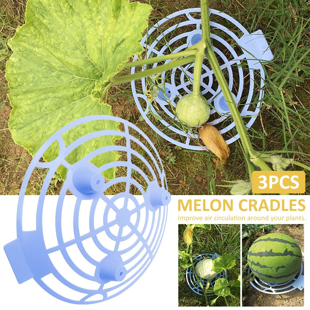 3PC Durable Multi Function Melon Squash Cradle Wat... – Grandado
