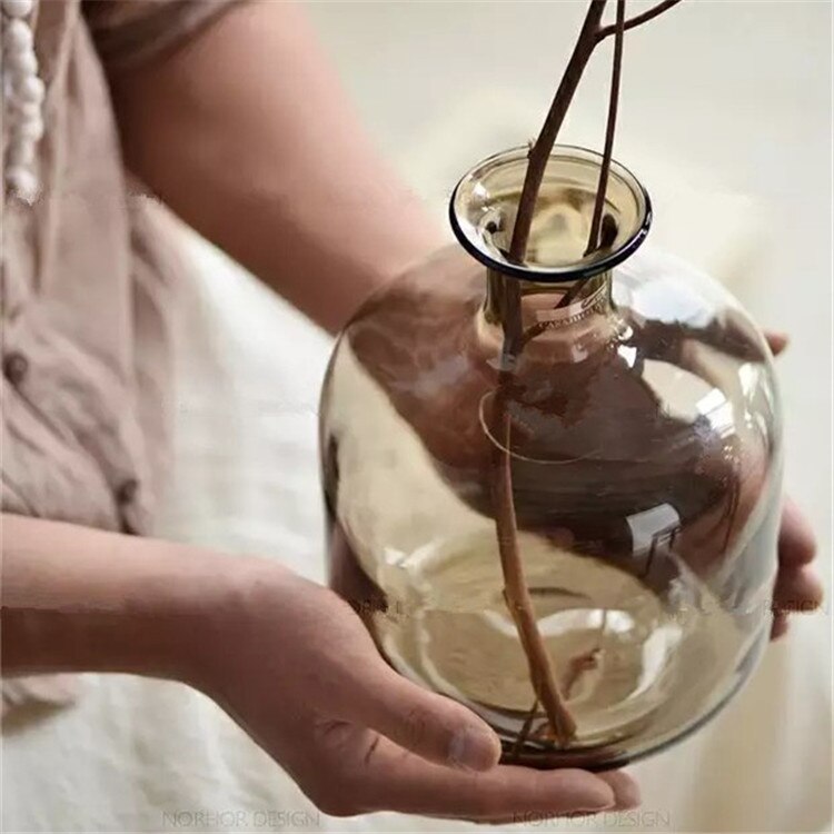 Modern Minimalist Translucent Glass Vase Flower Ar... – Vicedeal