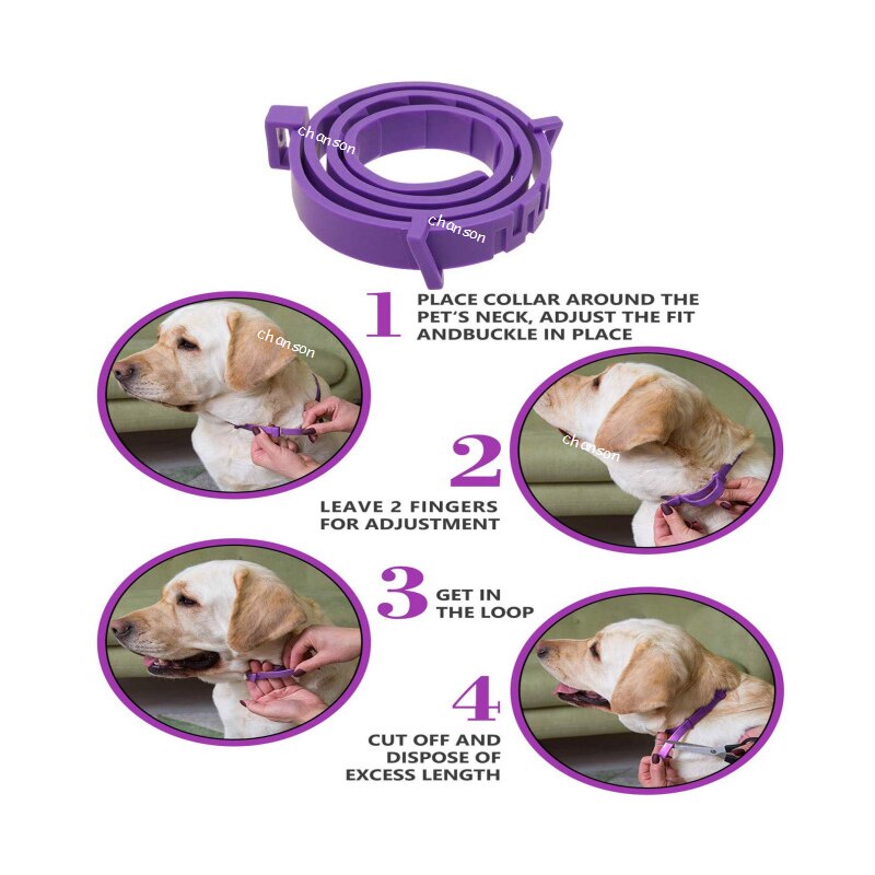 Pet Dog Cat Collar Pet Calm Collar Can Adjusted Re... – Vicedeal