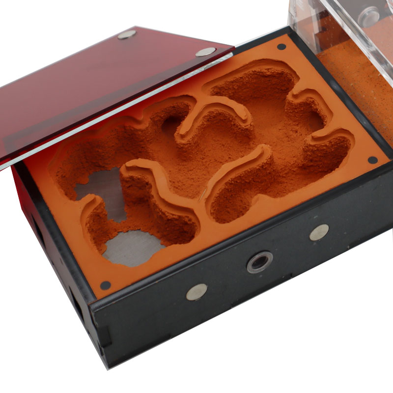 Formicaio ecologico con ciotola per formiche scato... – Grandado