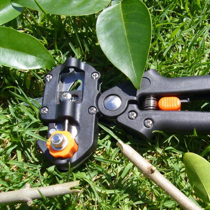 Garten Obst Baum Pro Rebschnitt Schere Scissor Pfr... – Vicedeal