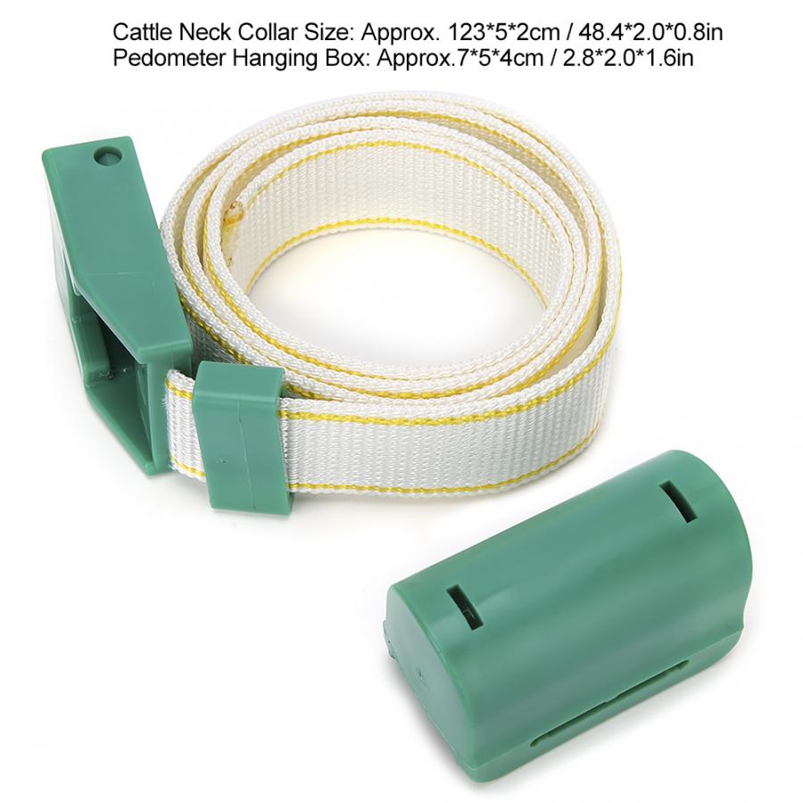 Cattle Sheep Goat Donkey Horse Cow Identifying Col... – Grandado