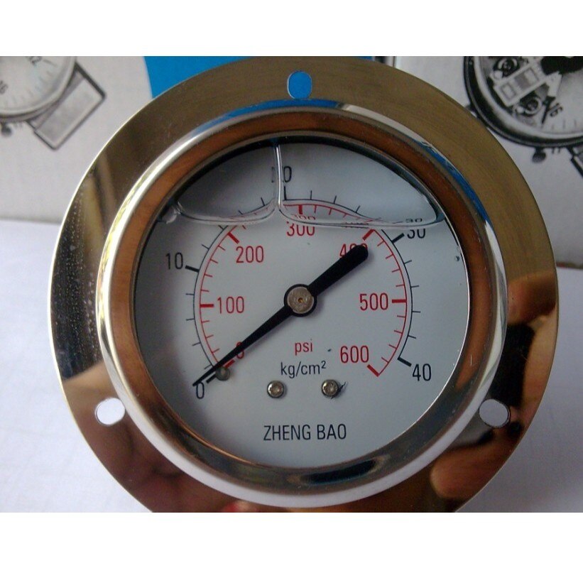 YN60ZT 40Kg/600Psi Axial Vibration-resistant Press... – Grandado