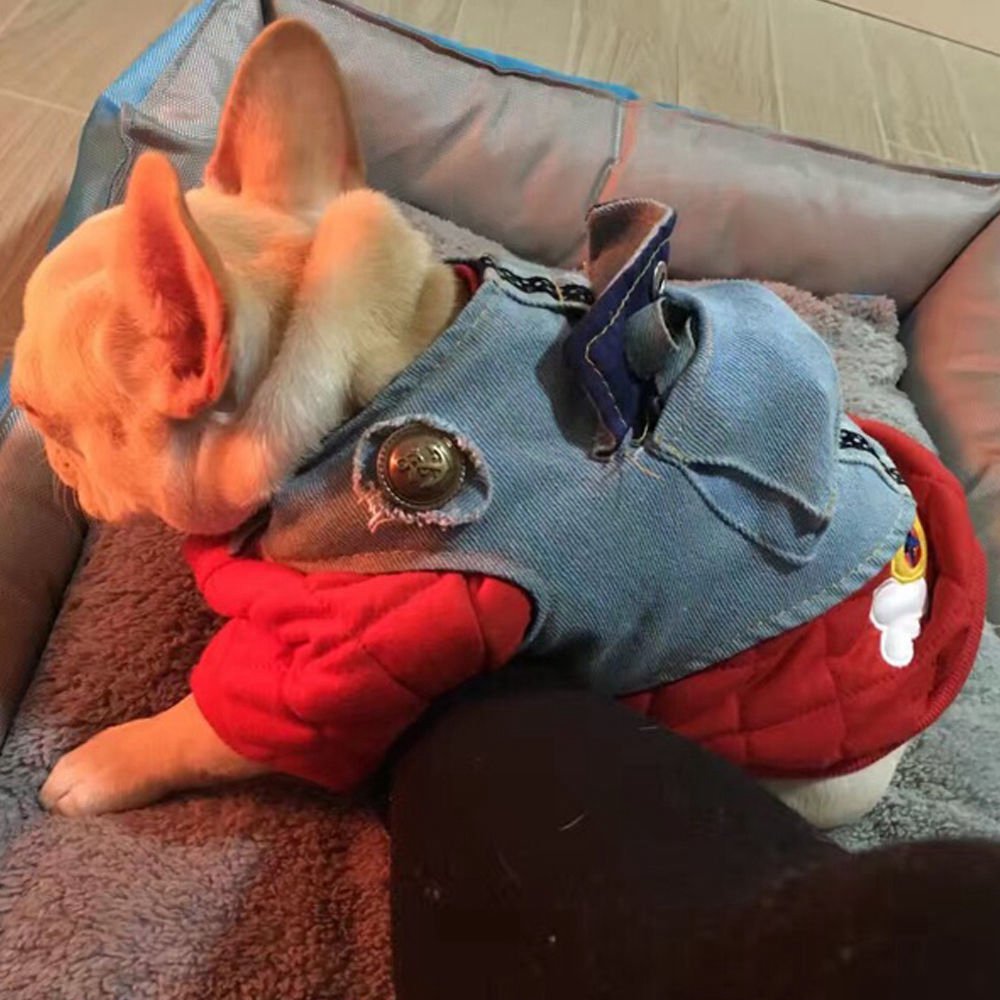 Denim Dog Vest Harness Leash Set Stars for Small M... – Vicedeal