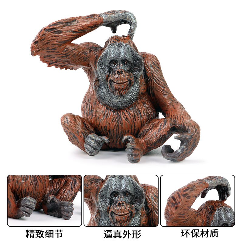 Simulation solid static zoo model orangutan monkey... – Grandado