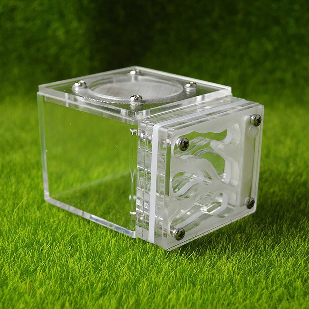 Mini Ameise Nest Acryl Anthill Nest transparent Am... – Grandado
