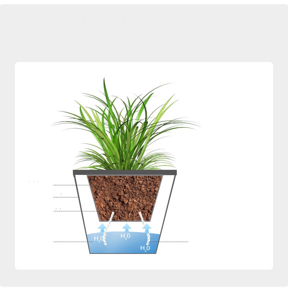 1PC Self Watering Plant Flower Pot Water Container... – Grandado