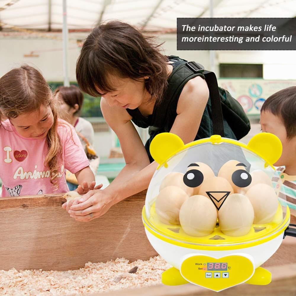 9 Egg Incubator , Small General Digital Egg Incuba... – Vicedeal
