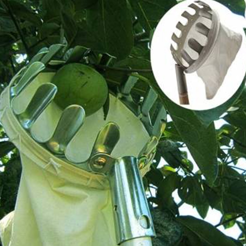 Garden Pruning Fruit Picker Gardening s Pear Peach... – Grandado