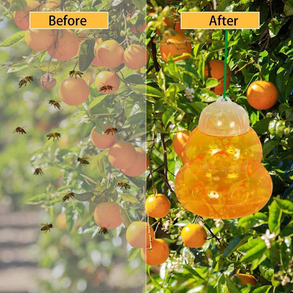 2 Packs Beehive Wasp Trap Hornets Yellow Jackets W... – Grandado