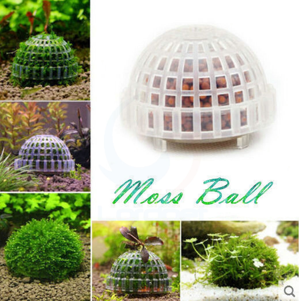Aquarium Fish Moss Tank Media Pond Biological Bio ... – Grandado