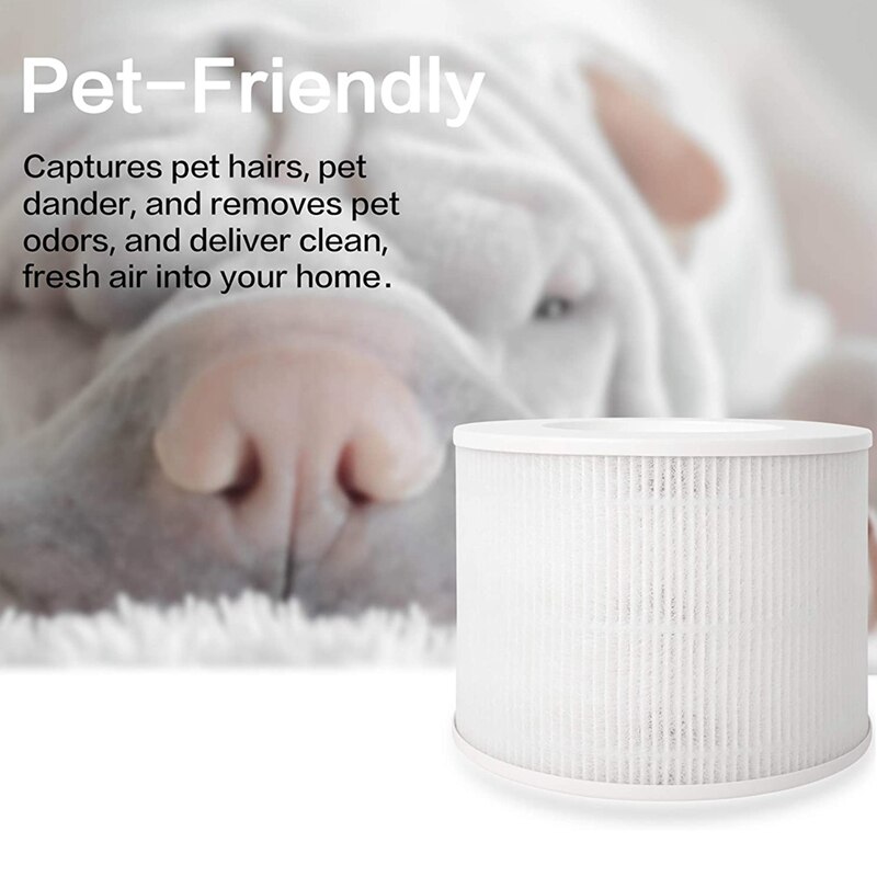 Core P350-RF H13 True HEPA Replacement Filter for ... – Grandado