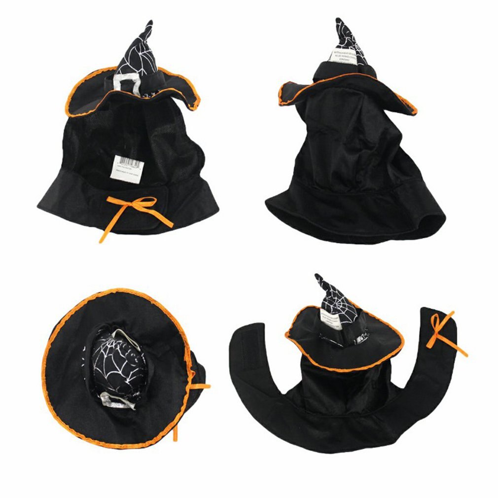 weird and interesting Halloween cats Wizard hat an... – Grandado