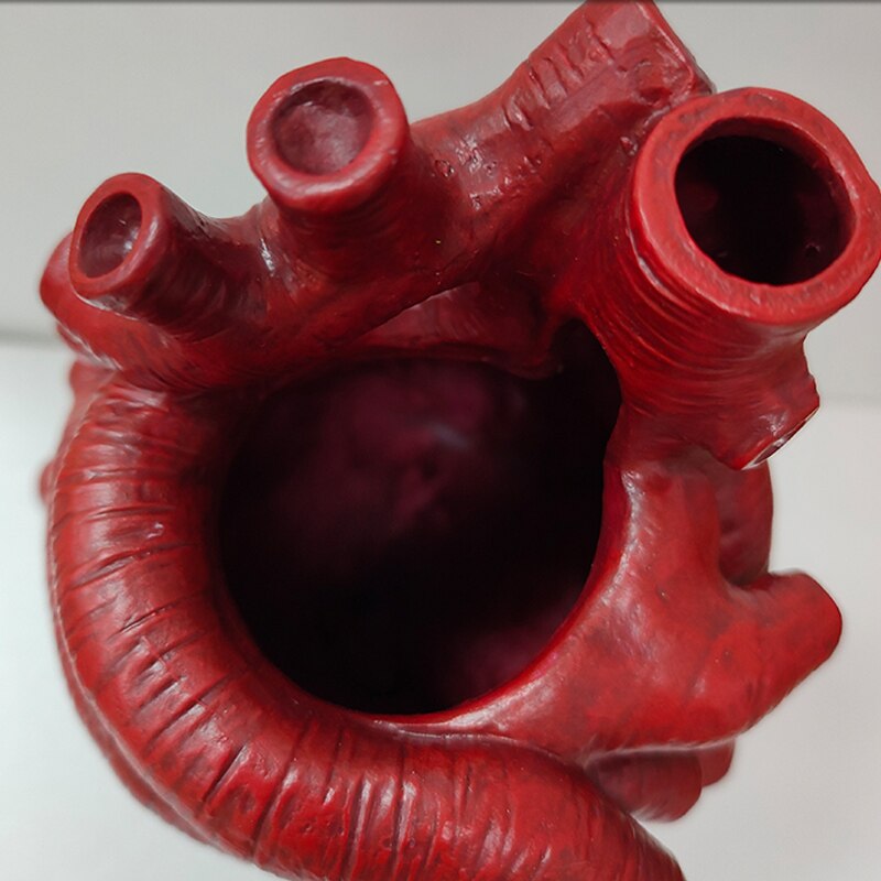 Anatomical Human Heart Vase Novelty Resin Plant Fl... – Grandado