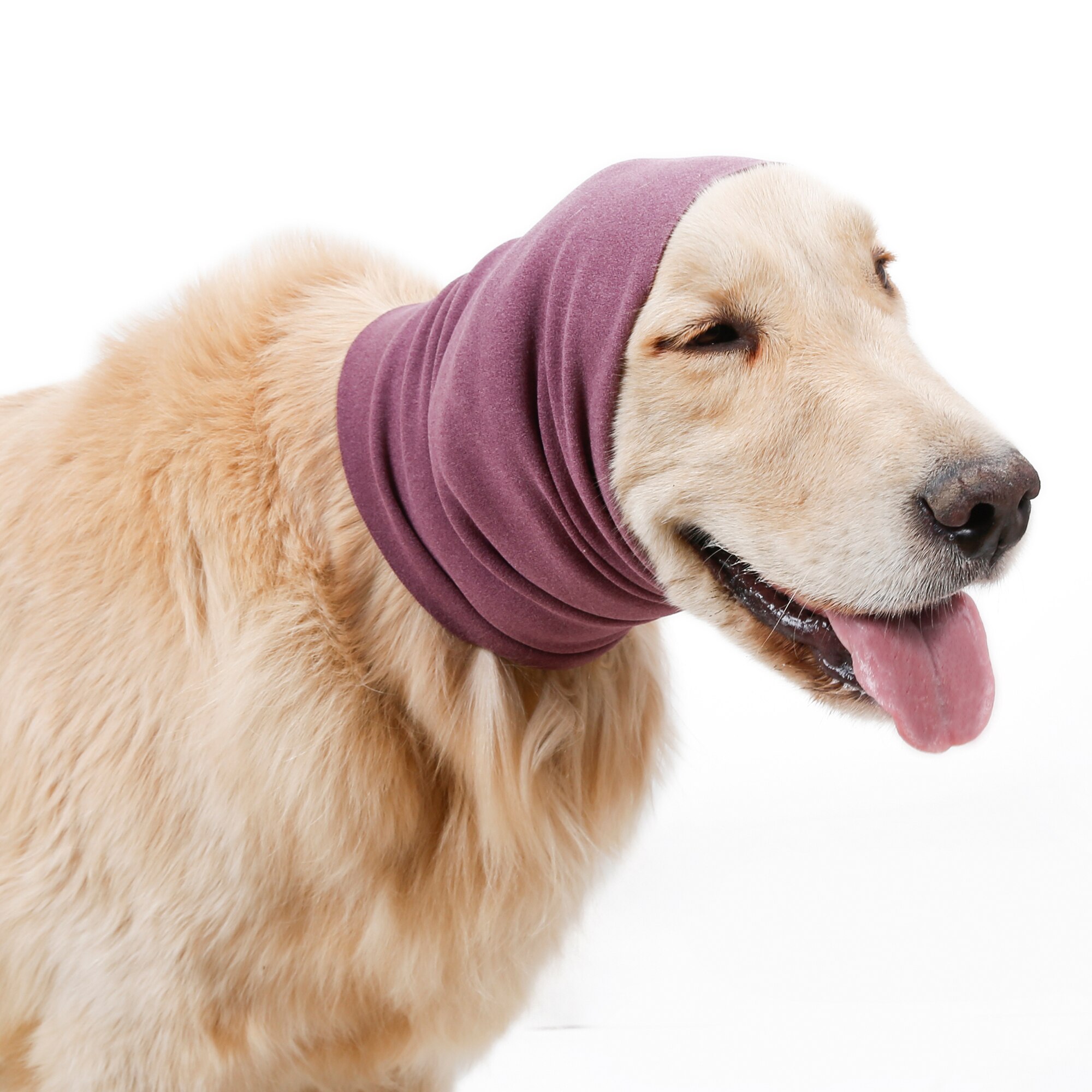 Winter Warm Winddicht Hoeden Voor Honden Hond Groo... – Vicedeal