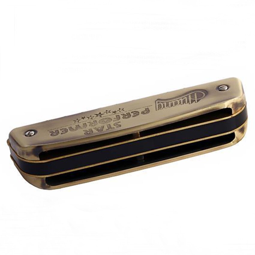 Vintage Style Blues Harmonica Golden 10 Holes C Ke... – Grandado