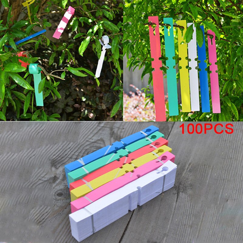 100 pcs Plant Tags Garden Nursery Label Hanging Tr... – Grandado