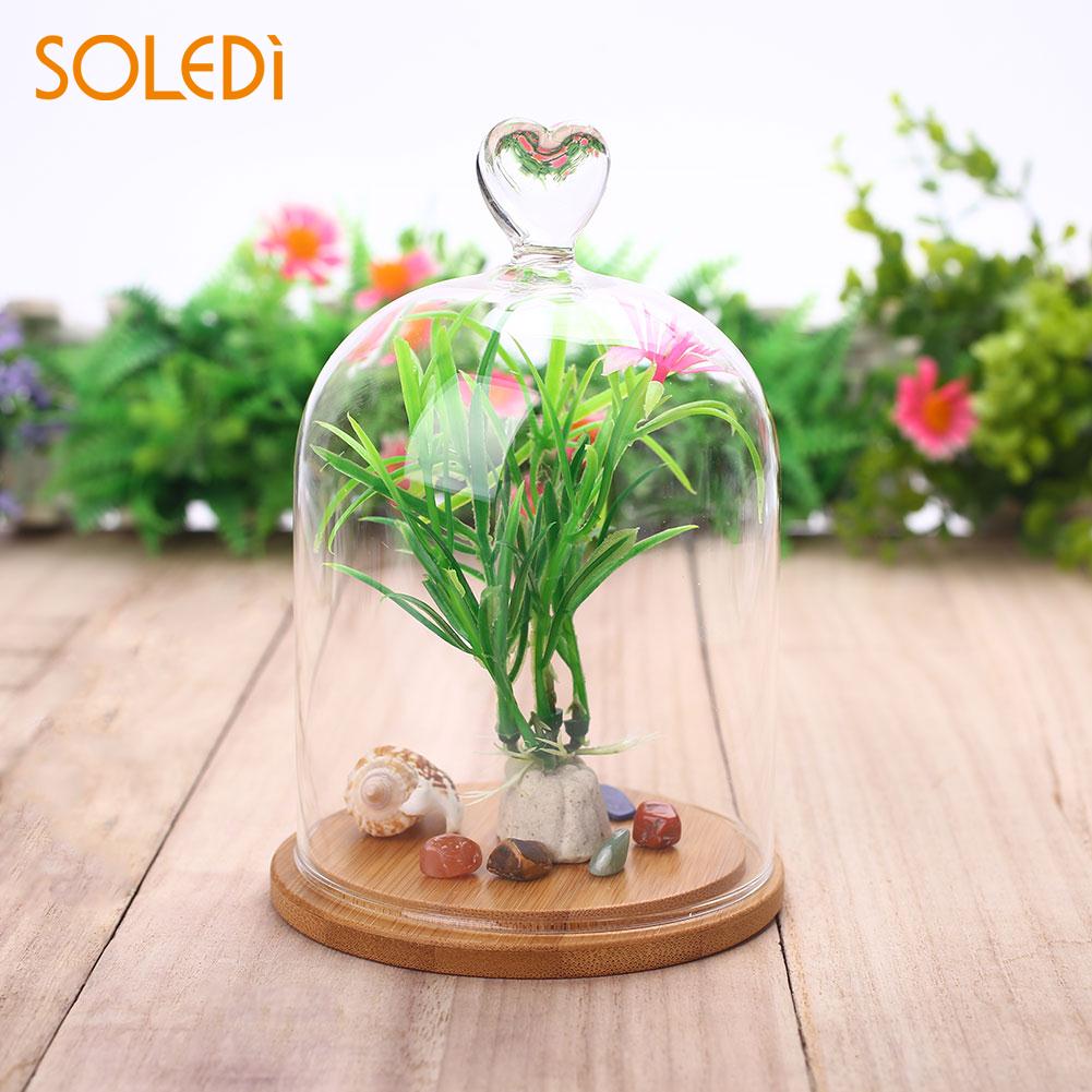 Multi-Pattern Glass Flower Vase Preserved Fresh Fl... – Vicedeal