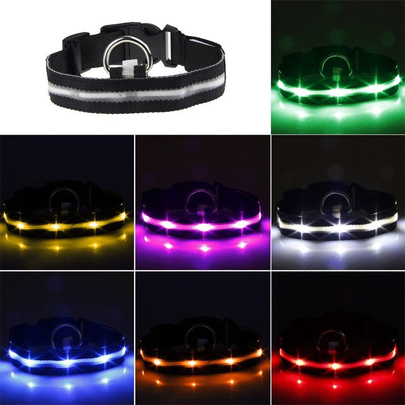 Dogs Collars Pet Dog Glowing Collar USB Rechargeab... – Grandado