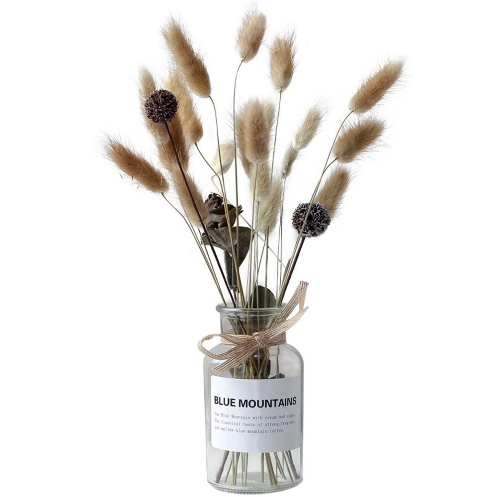 1 pc Amber glass vase empty flower hydroponic bott... – Grandado
