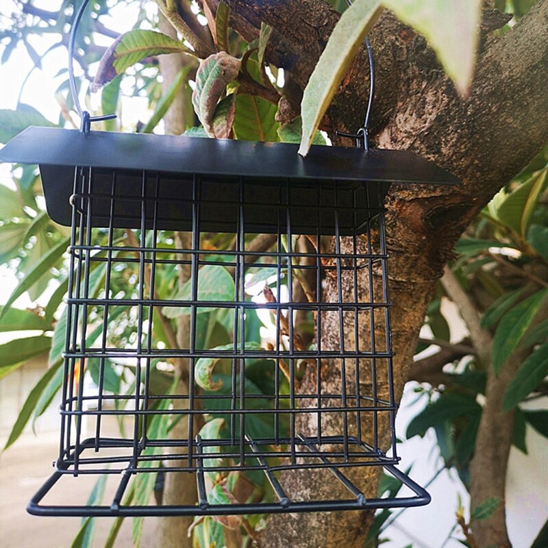 Squirrel Proof Double Suet Wild Bird Feeder with H... – Vicedeal