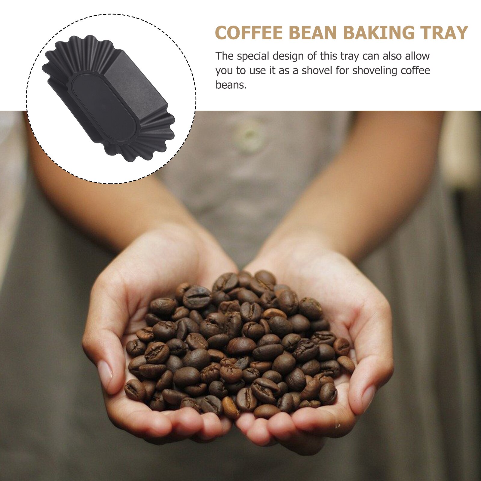 Bean Tray Coffee Bean Sample Tray Restaurant Coffe... – Vicedeal