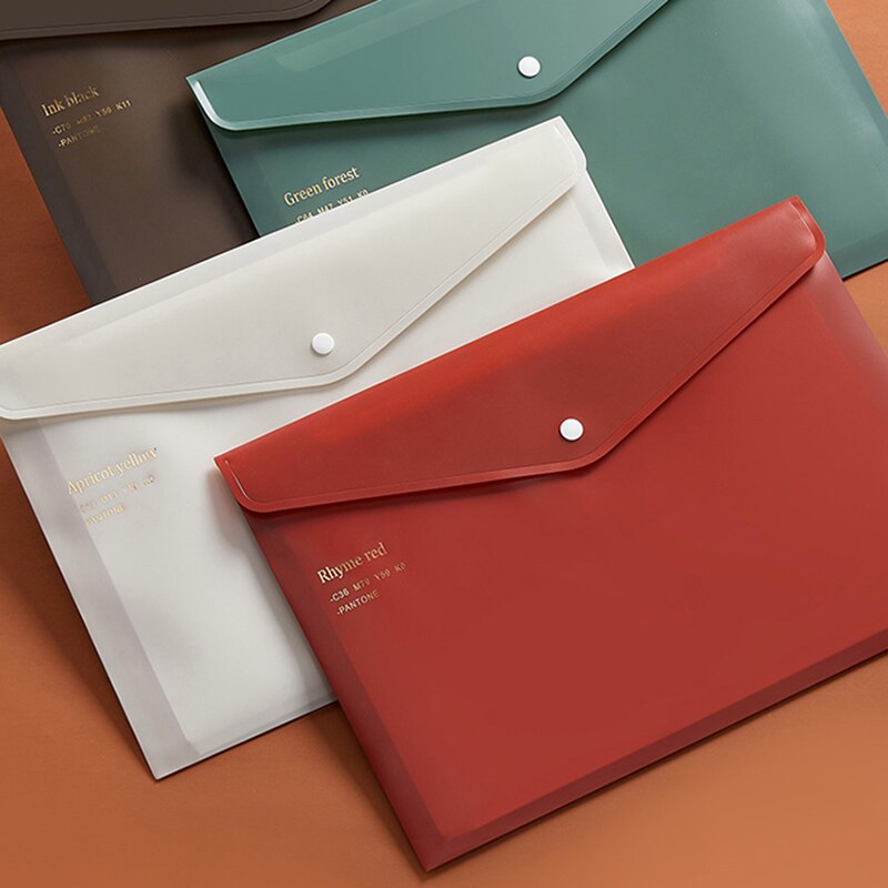 Pack of 12 File Folders A4 Clear Waterproof File B... – Grandado