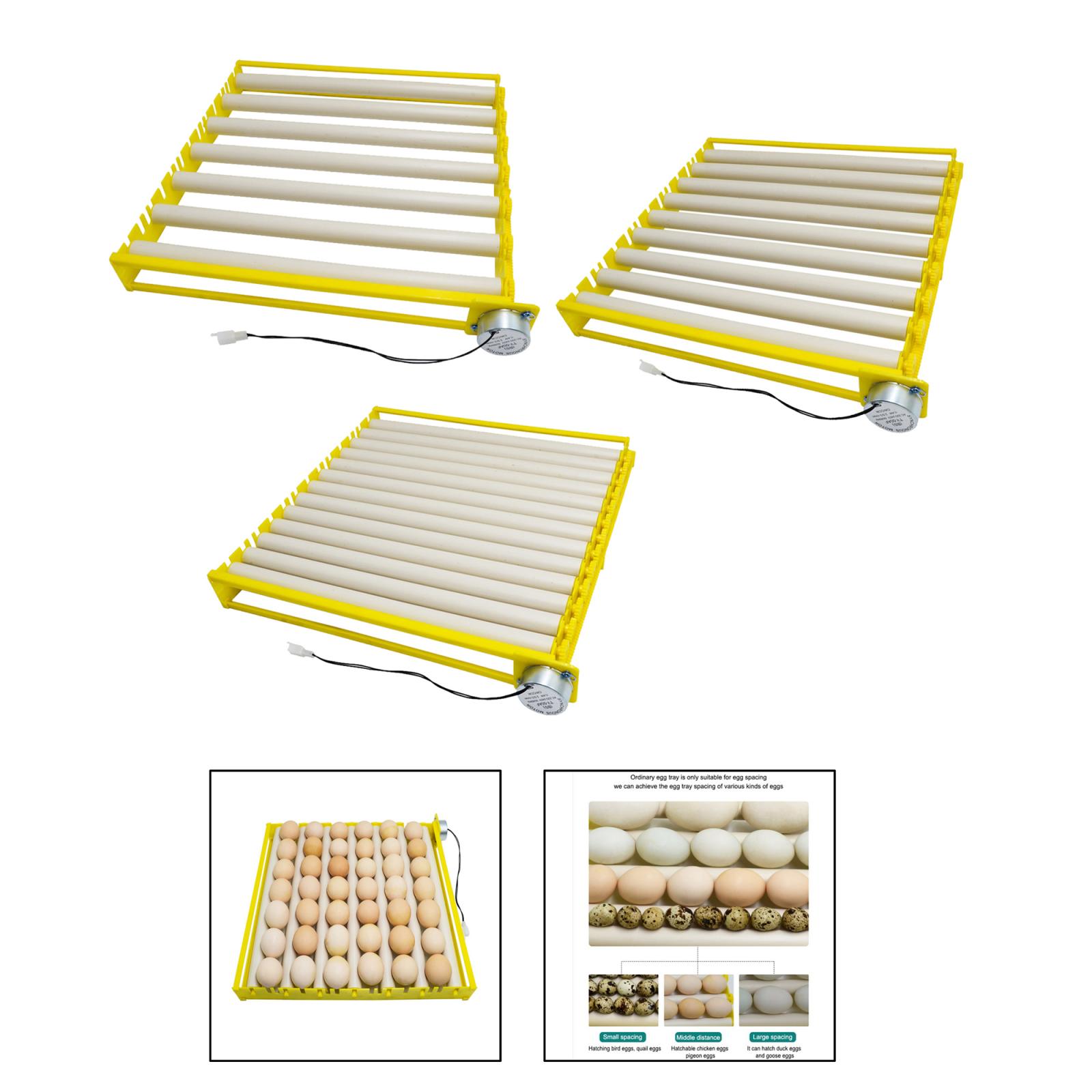Plastic Egg Incubator Tray Automatic Egg Roller Ho... – Vicedeal