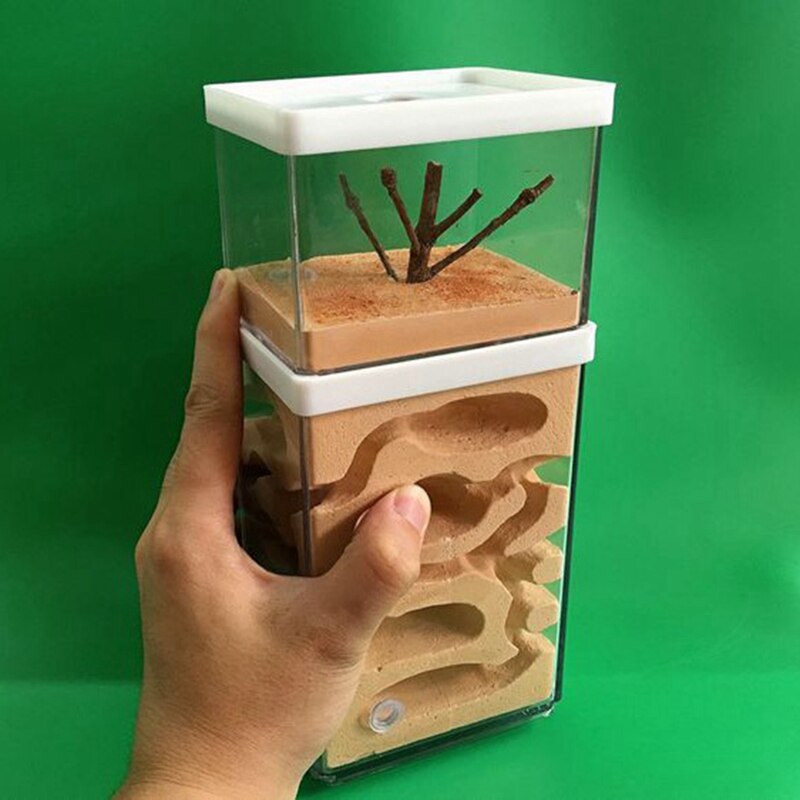 Ant Farm High Moisture Insect Hotel Castle Ecologi... – Vicedeal