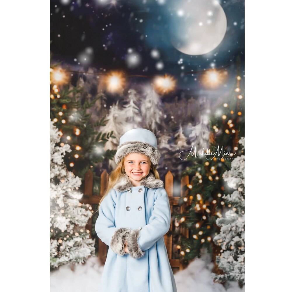 Christmas Snow Backdrops For Photography Oil Paint... – Vicedeal