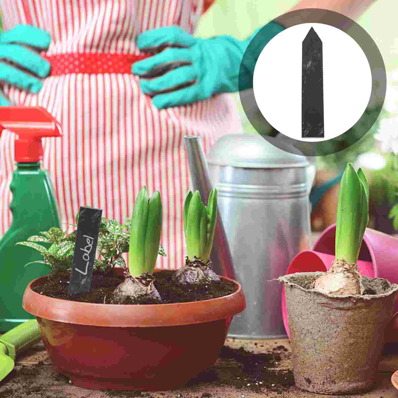 10pcs Slate Plant Labels Flower Plant Name Tags St... – Grandado