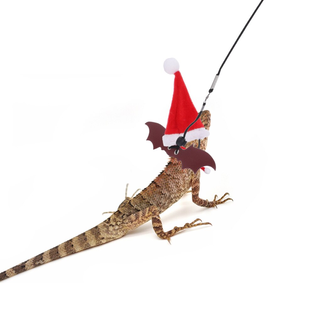 1 Set/3pcs Practical Funny Lizard Costume Lizard S... – Vicedeal